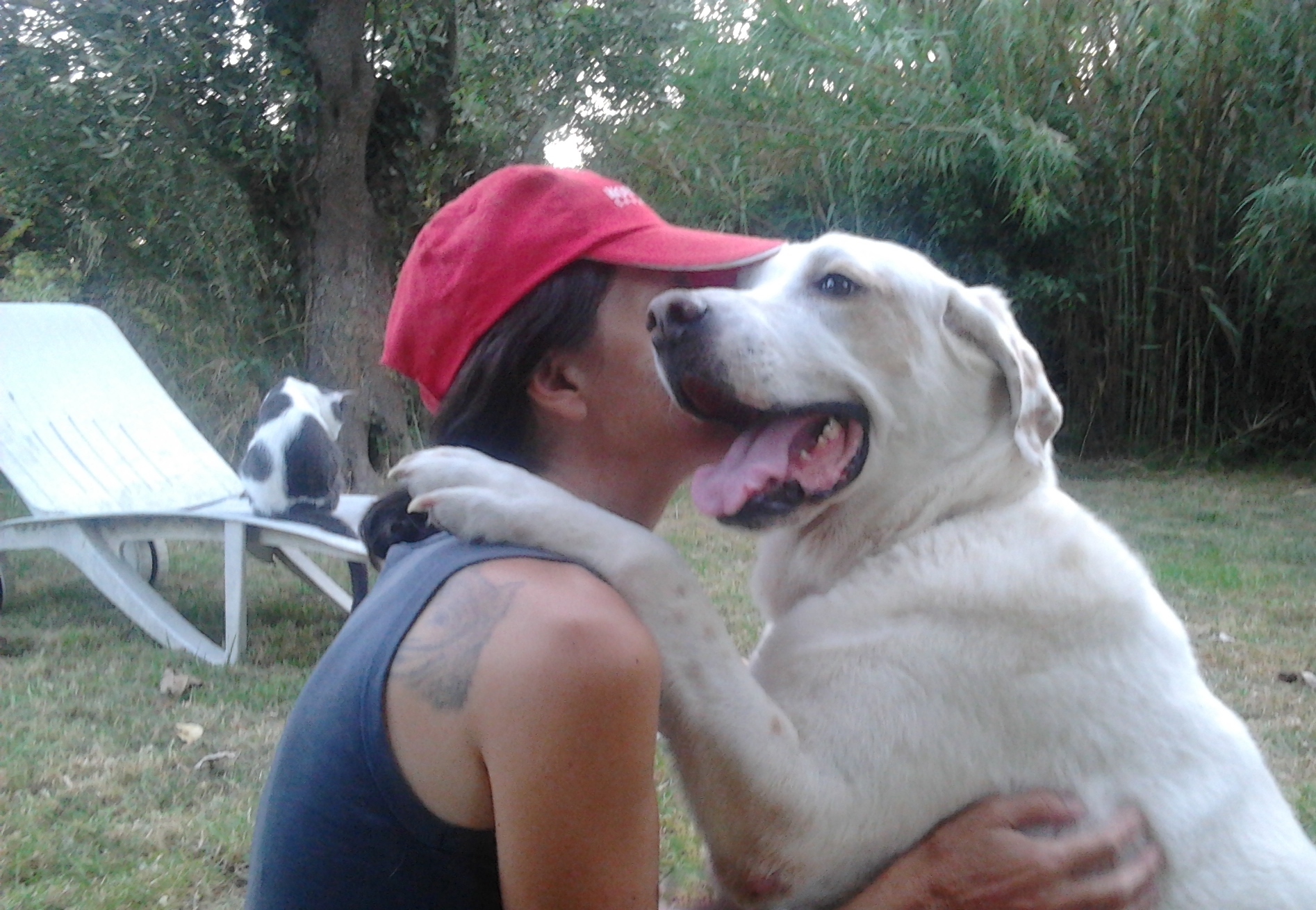 Το βλέμμα σου ήταν ο ήλιος μου | SmartDogs.gr